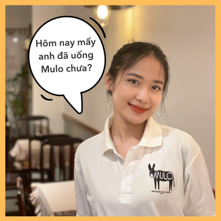 Đồng Phục Mulo - Artigiani Del Caffé, Quận 7 (MIT-74CR61) » Hải Triều