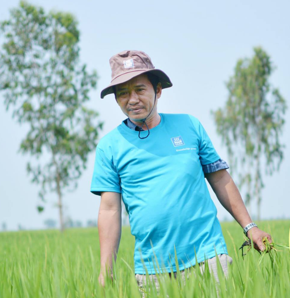 Đồng Phục Yara Vietnam - Knowledge Grows, Quận 1 (MIT-Z1X913) » Hải Triều