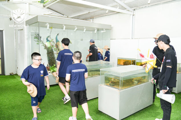 Áo Thun Học Viên New World Academy - TP.HCM, Quận 1 (MIT-19YA9A) » Hải ...