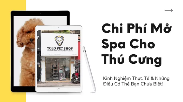 Chi Phí Mở Spa Cho Thú Cưng & Các Lưu Ý Bạn Cần Biết » Hải Triều