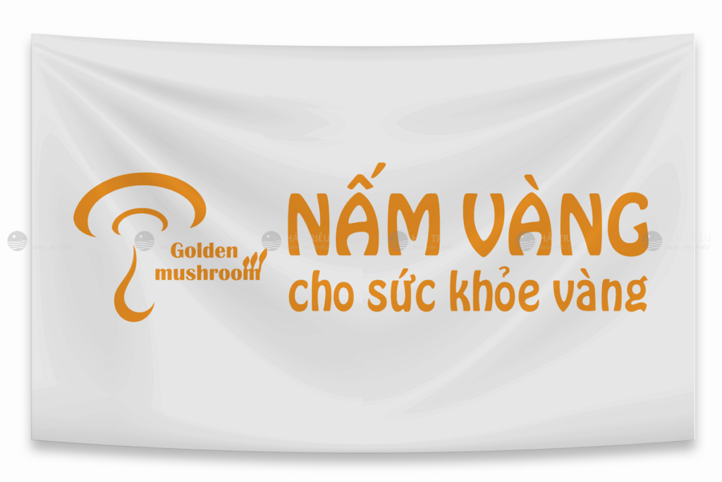 [Vector Logo] Cholimex Food JSC - Công Ty Cổ Phần Thực Phẩm Cholimex ...